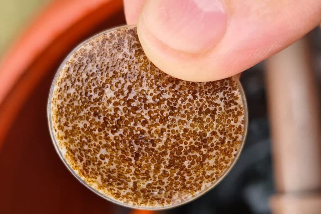 Processo MixLife BioChip 30 em RAS – Biomídia MBBR