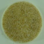 Benefícios MixLife BioChip 30 – Biomídia MBBR