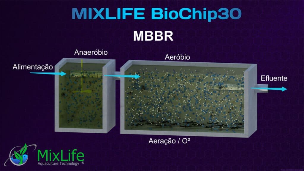 MBBR e IFAS no Tratamento Biológico da Água – Biomídia MBBR
